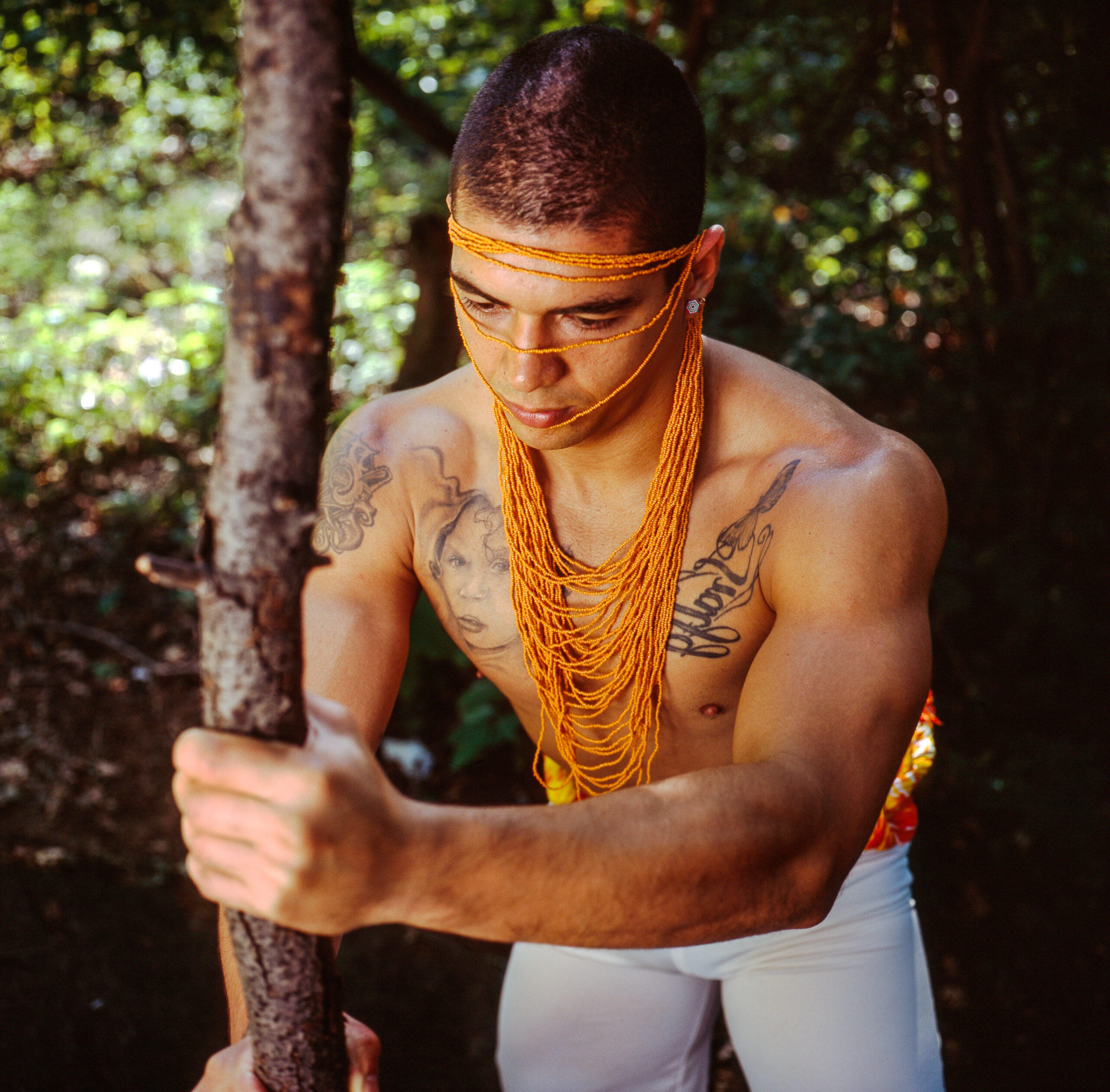 Series - Jason Gardner Photography